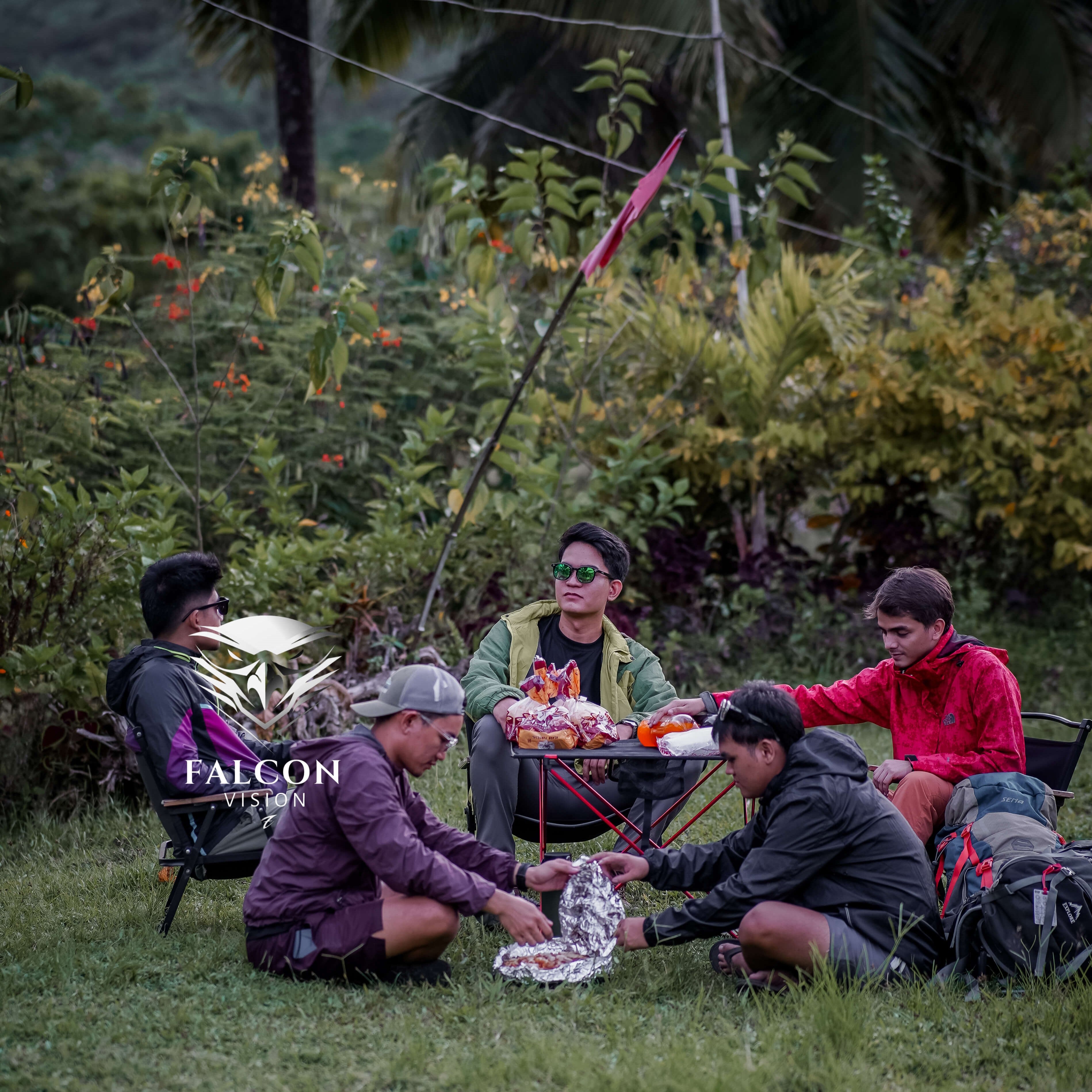 Discount Packages – Falcon Vision