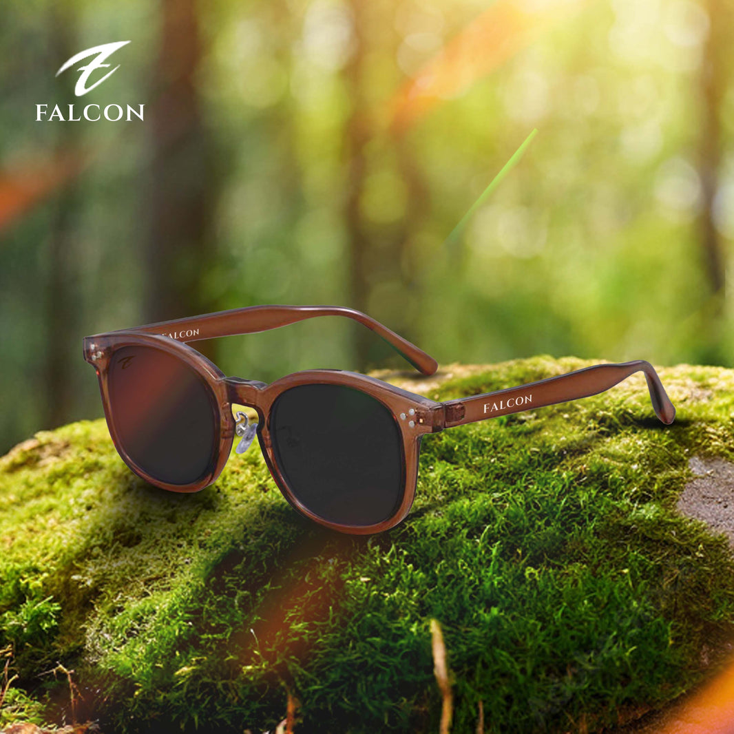 Falcon Vision