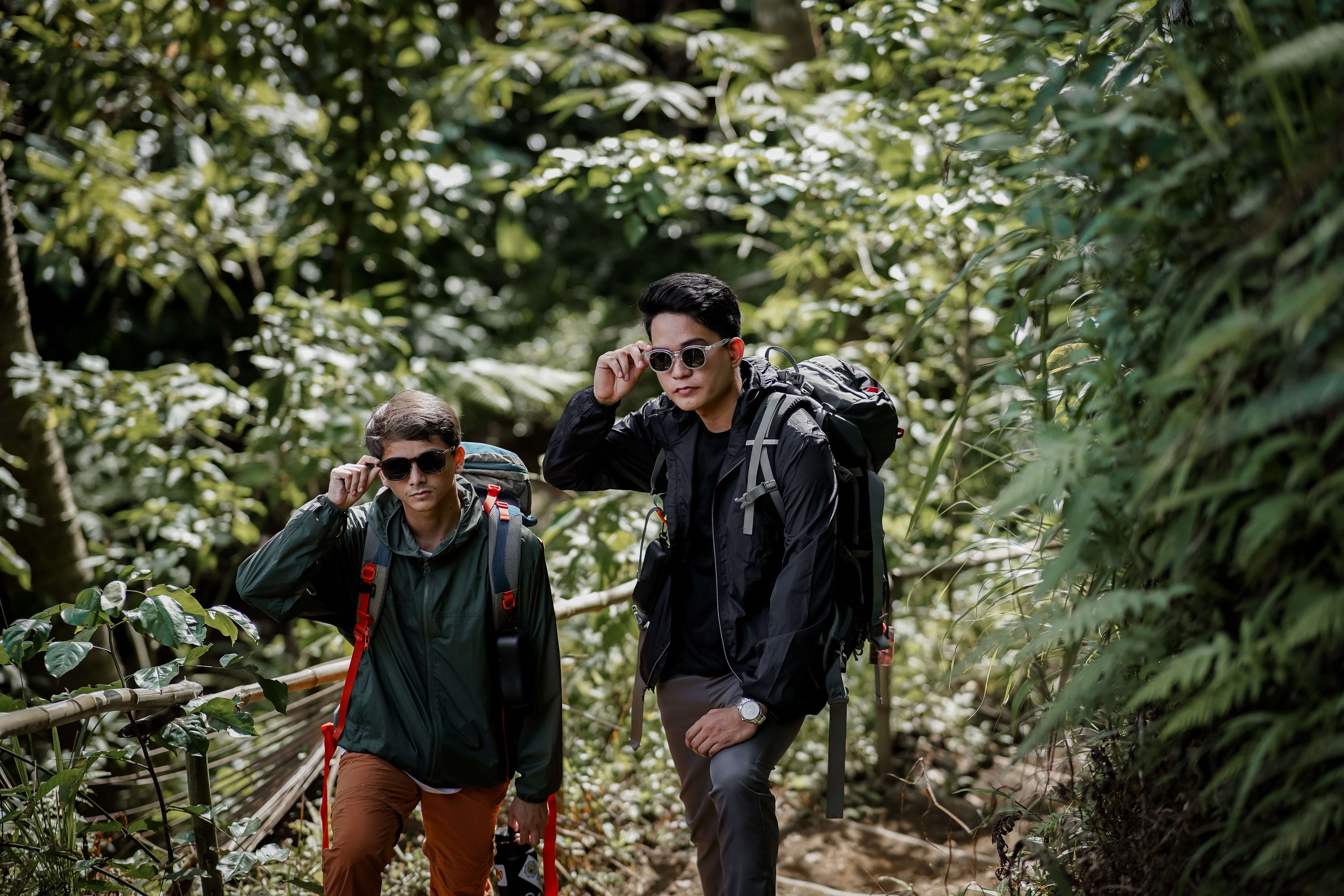 FV-V1CL4 (Clear-Orange) – Falcon Vision